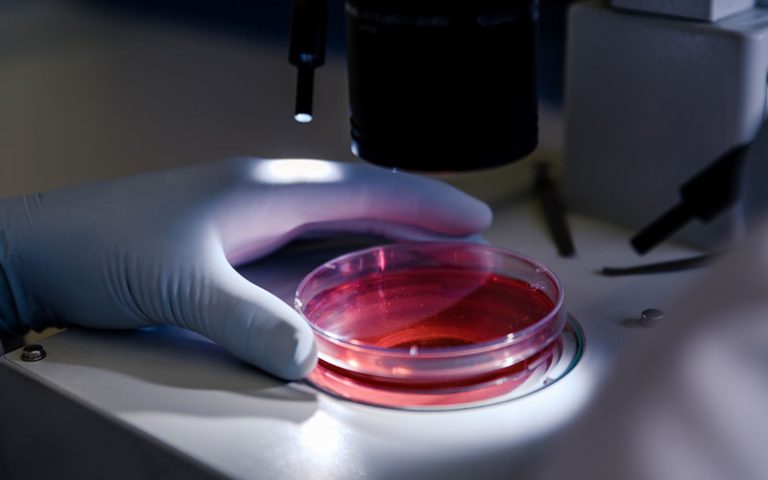 Blood Test Packages in Dubai | Full Body Checkup Packages - Magnum Clinic